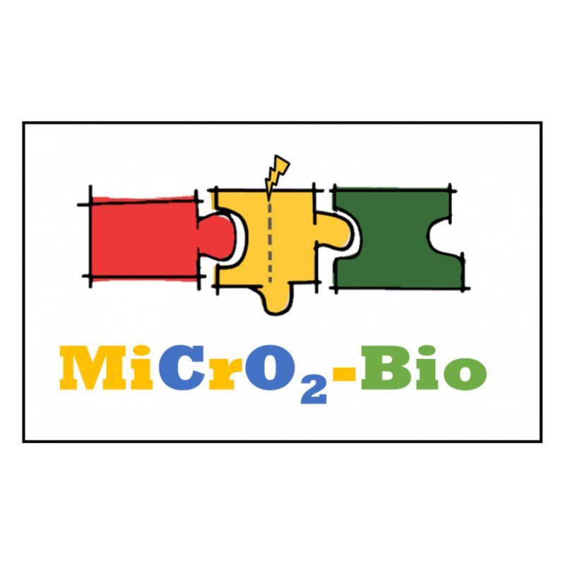 The MICRO-BIO process – Lequia